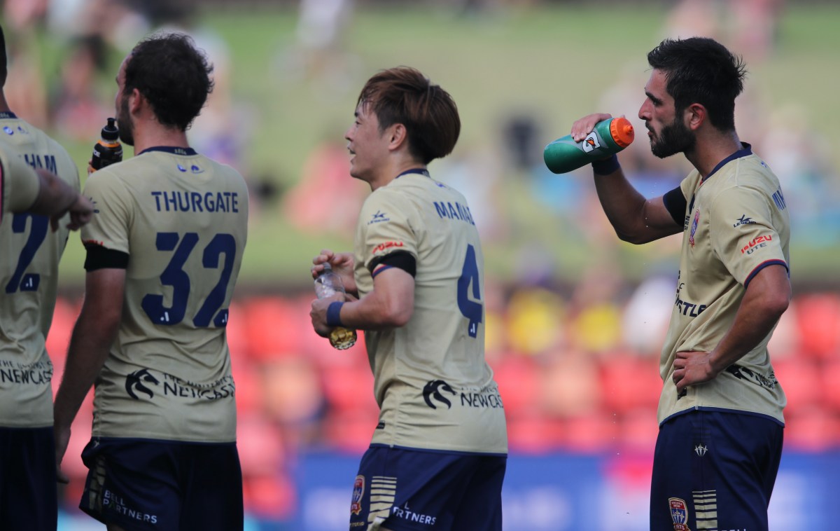 ALM and ALW Ins and Outs - Newcastle Jets