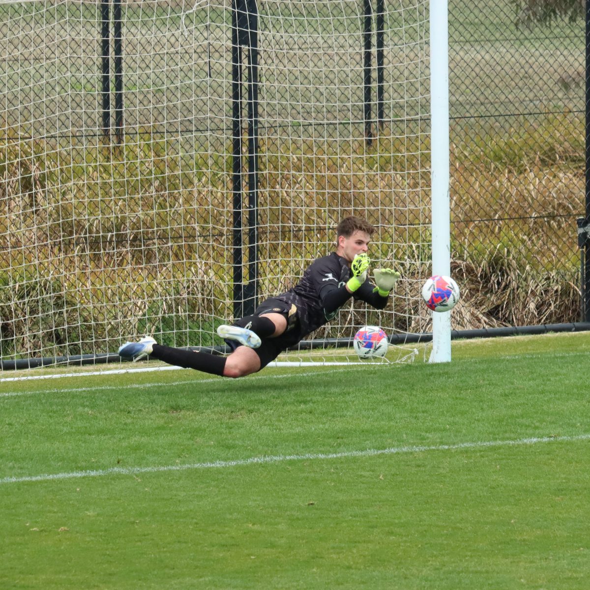 Match Report: Spoils Shared With Wanderers In Pre-Season Hit-Out ...